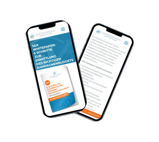 Dankesseite Whitepaper-Checkliste-Kampagnenbudgets » Hanseranking
